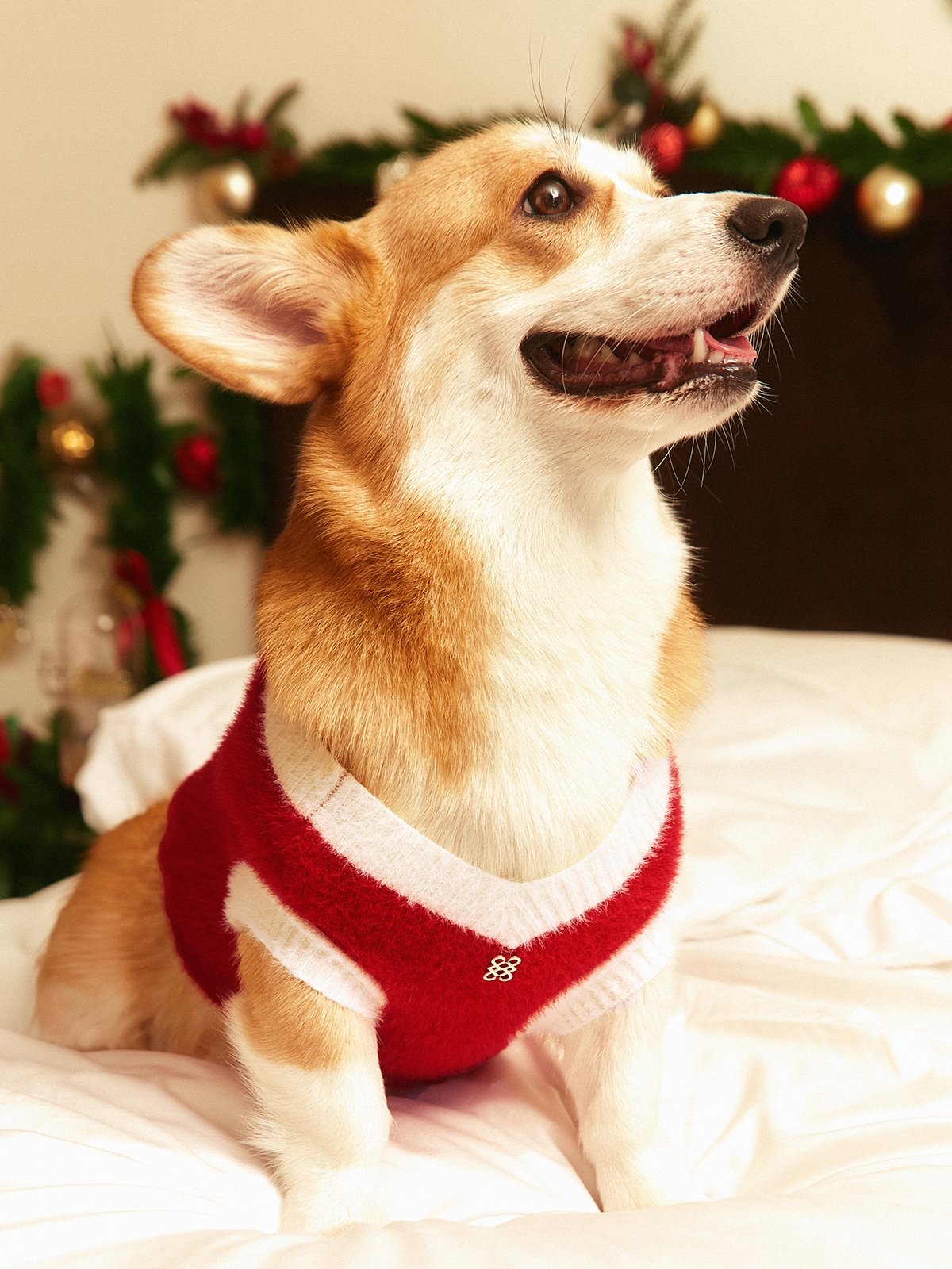 Pawmelo Dog and Cat Bow Jumper - Red - Pomelo Fashion
